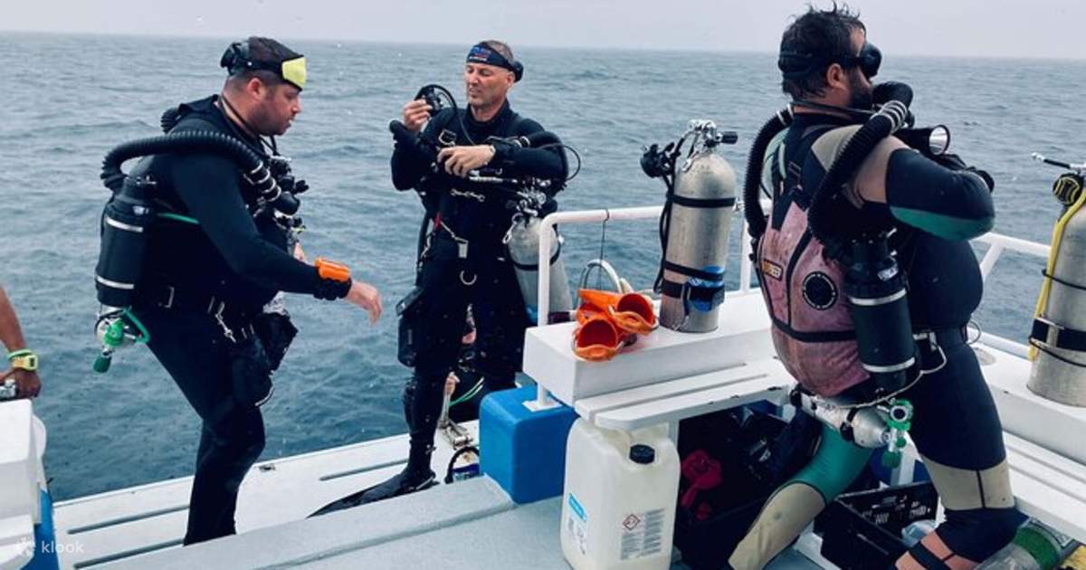 Plongée avec tuba et plongée à Ras Mohamed et l'île Blanche en bateau VIP - Klook États-Unis